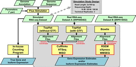 next generation sequencing bio miblab