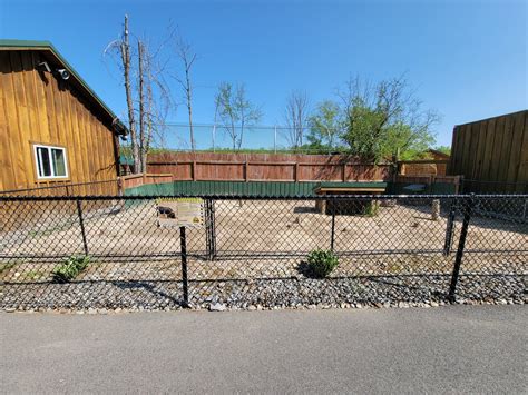 Wild Animal Park Pot Bellied Pig Yard Zoochat