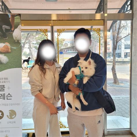 폼피츠 사랑이 토이랙돌분양 토이브리티쉬숏헤어분양 토이스코티쉬폴드분양 토이러시안블루분양 토이강아지분양 토이고양이분양 토이비숑프리제입양 토이포메라니안입양 토이말티즈입양