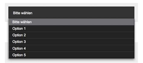 Formular Styling Mit Css Select Listen Radio Buttons Und Checkboxen