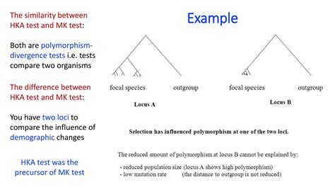 Neutral Theory 2019 Pptx