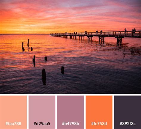 sunset color palette with hex codes vandelay design