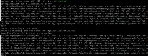 Nacos启动报错解决which no javac in usr local sbin usr local bin usr
