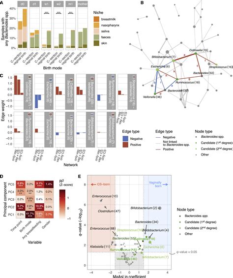 Mother To Infant Microbiota Transmission And Infant Microbiota