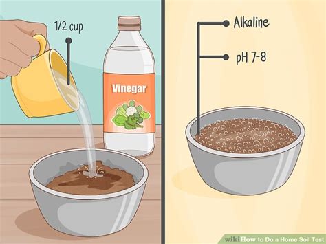 Ways To Do A Home Soil Test WikiHow
