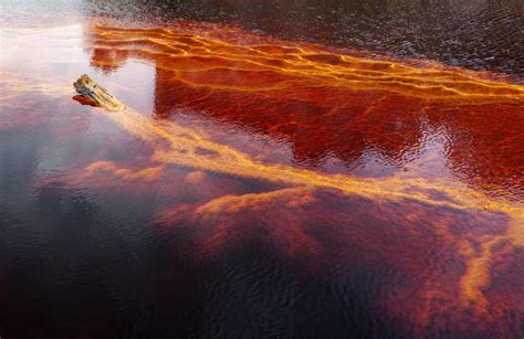 Bright Orange Splashes In Nature Free Photo Beb93v Noun Project