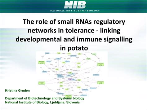 The Role Of Small Rnas Regulatory Networks In Tolerance Linking Developmental And Immune