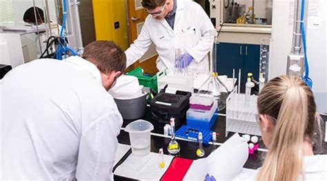 Analytical Development And Validation Laboratory Automation And