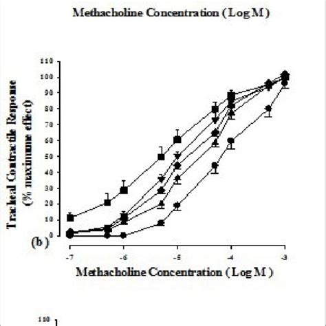Cumulative Log Concentration Response Curves Of Methacholine Induced Download Scientific