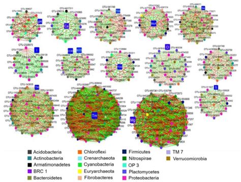 Co Occurrence Microbial Interaction Sub Network From Post Monsoon