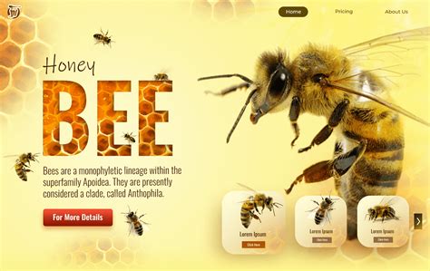 Bee Ui Design On Behance