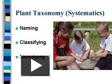 Plant Taxonomy Systematics Presentation Free To View