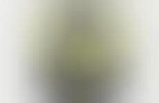 15 Examples Of Interactive Audio Devices