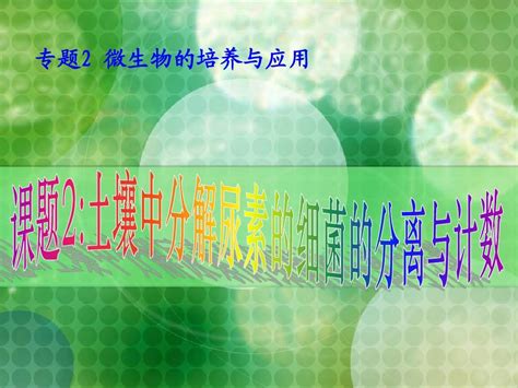 人教版教学课件土壤中分解尿素的细菌的分离与计数 word文档在线阅读与下载 无忧文档