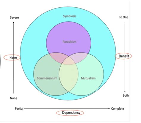 Lecture 9 1 Bacteria Flashcards Quizlet