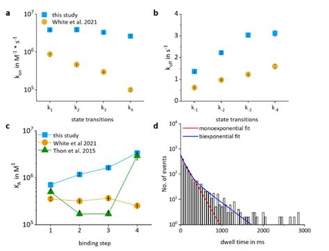 Kinetic And Equilibrium Constants Calculated For A Simple Binding