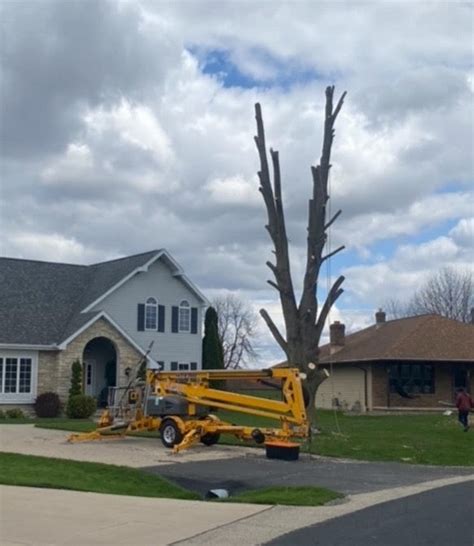 Appleton Tree Service Serving Grand Chute And Greater Fox Valley
