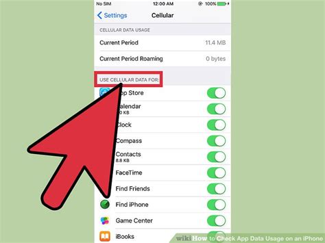 How To Check App Data Usage On An IPhone Steps With Pictures