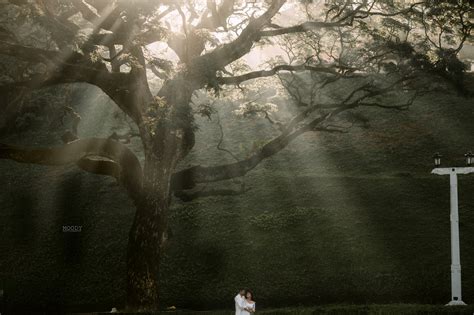 National Innovation Centre Nibm Certificate Course In English Language 3 Months Monday