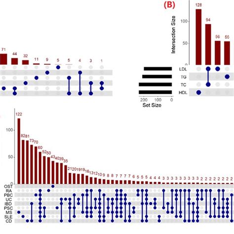 Upset Plot To Illustrate The Number Of Identified Genes Shared Across Download Scientific