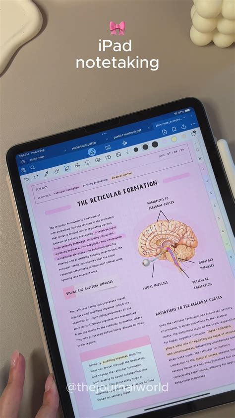 Learn To Use Goodnotes With This Goodnotes User Guide Ipad Essentials Good Notes Ipad Hacks