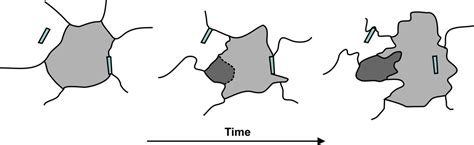 Grain Boundary Migration Geology Is The Way