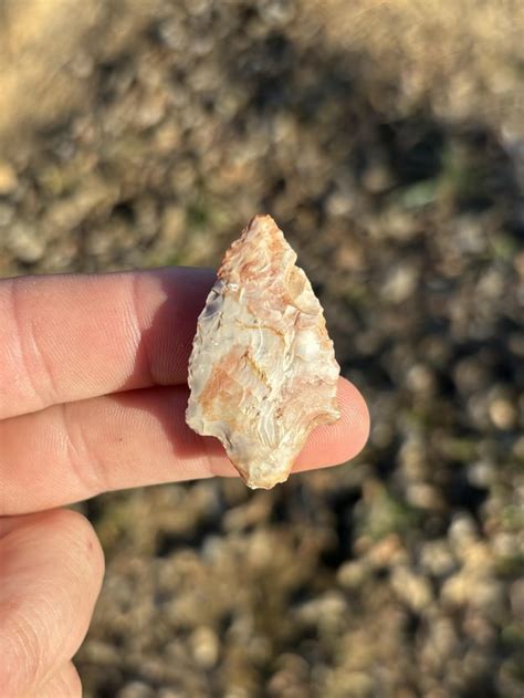 Central Mississippi Dickson Point Rlegitartifacts