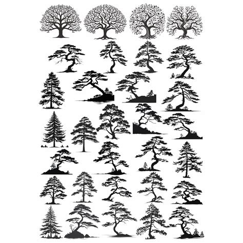 Tree Silhouette Svg Tree Svg Bundle Tree Silhouette Svg T Inspire
