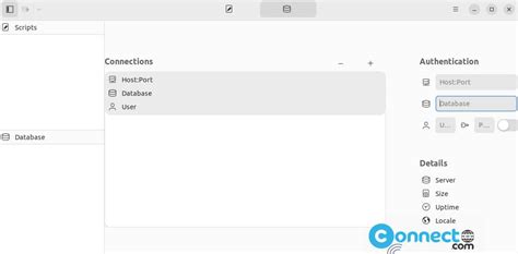 Queries Relational Database Workbench Application CONNECTwww