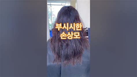부시시한 곱슬 손상모 한번에 해결 강남미용실 트리트먼트 Hairstyle 곱슬머리 Youtube