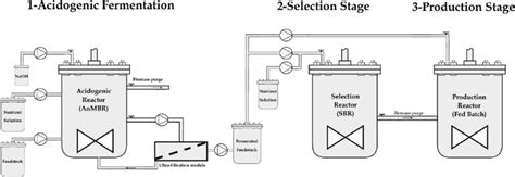 Setup Of The 3 Stage Polyhydroxyalkanoate Pha Production Process By Download Scientific