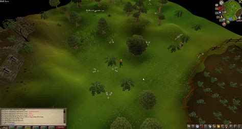 Runescape Tree Detector Object Detection Dataset By Runescape Tree Detector