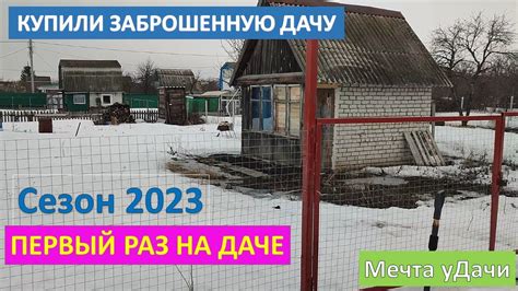 9 КУПИЛИ ЗАБРОШЕННУЮ ДАЧУ Первый выход в новом году Youtube