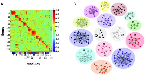 Modulated Modularity Clustering Mmc Heat Map Revealing Modules Of