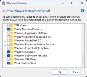 How To Use Windows Sandbox The Tech Basket