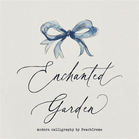 Script Font Swashes Font Calligraphy Font Signature Font Logo Font Handwriting Font Script