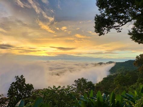 “จุดชมวิวผาชมตะวัน” ชมแสงสีทองคลอเคล้าทะเลหมอกอิ่มๆ ณ อุทยานแห่งชาติภูเวียง ขอนแก่น