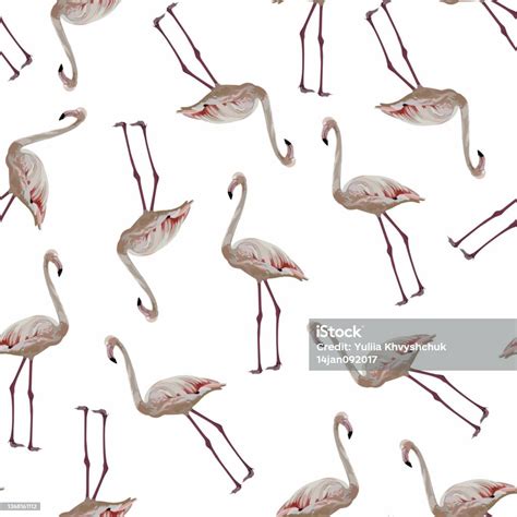 화이트 크리미한 플라밍고 흰색 배경 플로럴 매끄러운 패턴 열대 일러스트레이션 이국적인 새 여름 해변 디자인 파라다이스 자연 0명에 대한 스톡 벡터 아트 및 기타 이미지