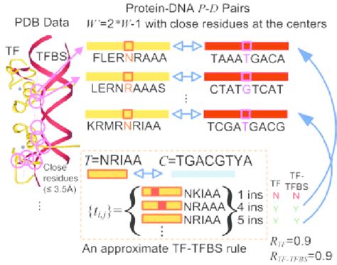 An Illustrative Example Of Generating P D Pairs From PDB And Verifying Download Scientific