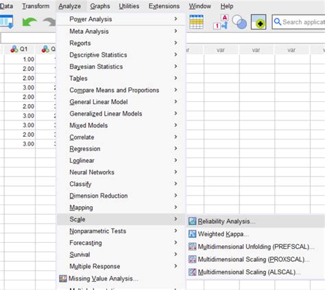 How To Calculate Cronbach S Alpha In Spss With Example