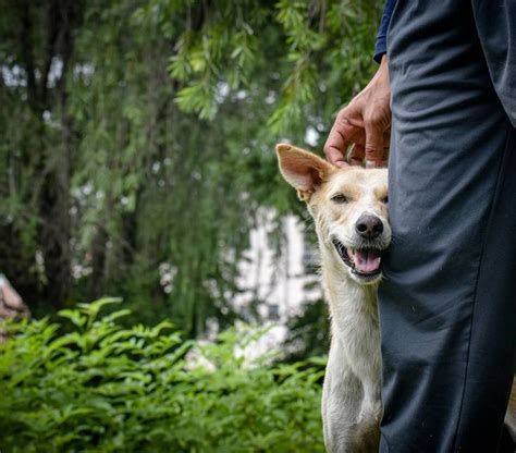 Mi Piace 516 Commenti 23 Ashish Joshi Ashishjoshiii Su