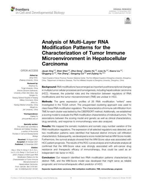 Pdf Analysis Of Multi Layer Rna Modification Patterns For The