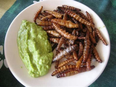 Gusanos De Maguey Platillo Oaxaqueño Comida Comidas Exoticas