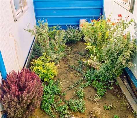 Mostafa Abd El Aziz Mostafa On Linkedin Thegreenchallenge Hassanallam Employeeoftheyear