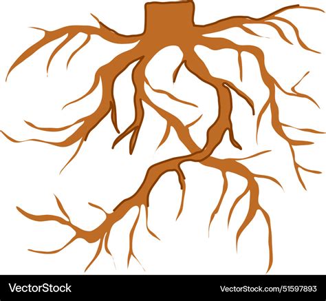 Trunk Tree Root Cartoon Royalty Free Vector Image