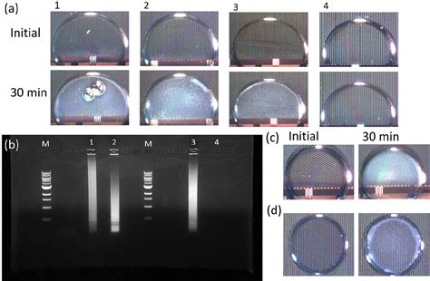 Figure 3 From Programmable Digital Microfluidic Biochips For Sars Cov 2