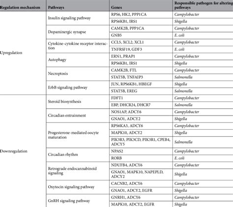 Common Altered Pathways Names Of The Degs And The Responsible