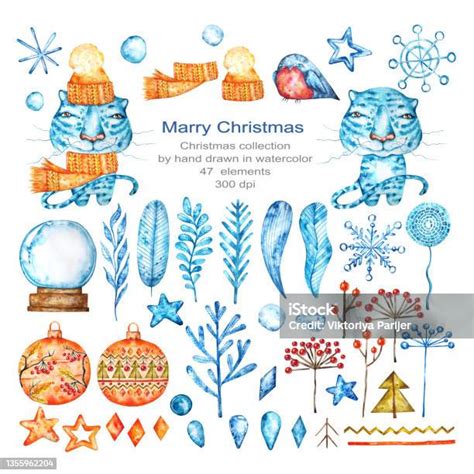 수채화에 그려진 손으로 설정 크리스마스 귀여운 푸른 호랑이 올해의 상징 불핀치 크리스마스 트리 장난감 겨울 유리 공 푸른 잎 레드 마운틴 재 겨울 베리 눈송이 수채화 눈