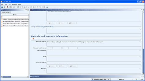 Reach Implementation Project Substance Identification Of Nanomaterials Rip On 1 Aa N 070307