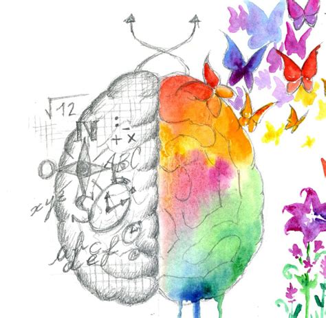 Know Your Brain How The Left And Right Hemispheres Operate Brain World